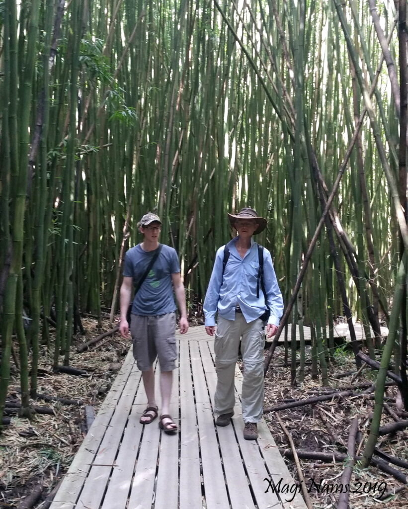 Hiking in America: Haleakalā National Park, Hawai'i - The Seeker, Magi Nams