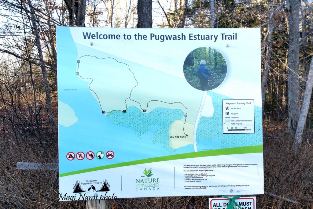Hiking in Canada: Pugwash Estuary Nature Reserve, Nova Scotia - The ...