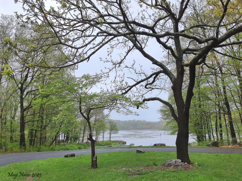 Birding in America: Lake Towhee County Park, Pennsylvania - The Seeker ...